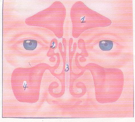 NKO Beveren-Waas/Melsele